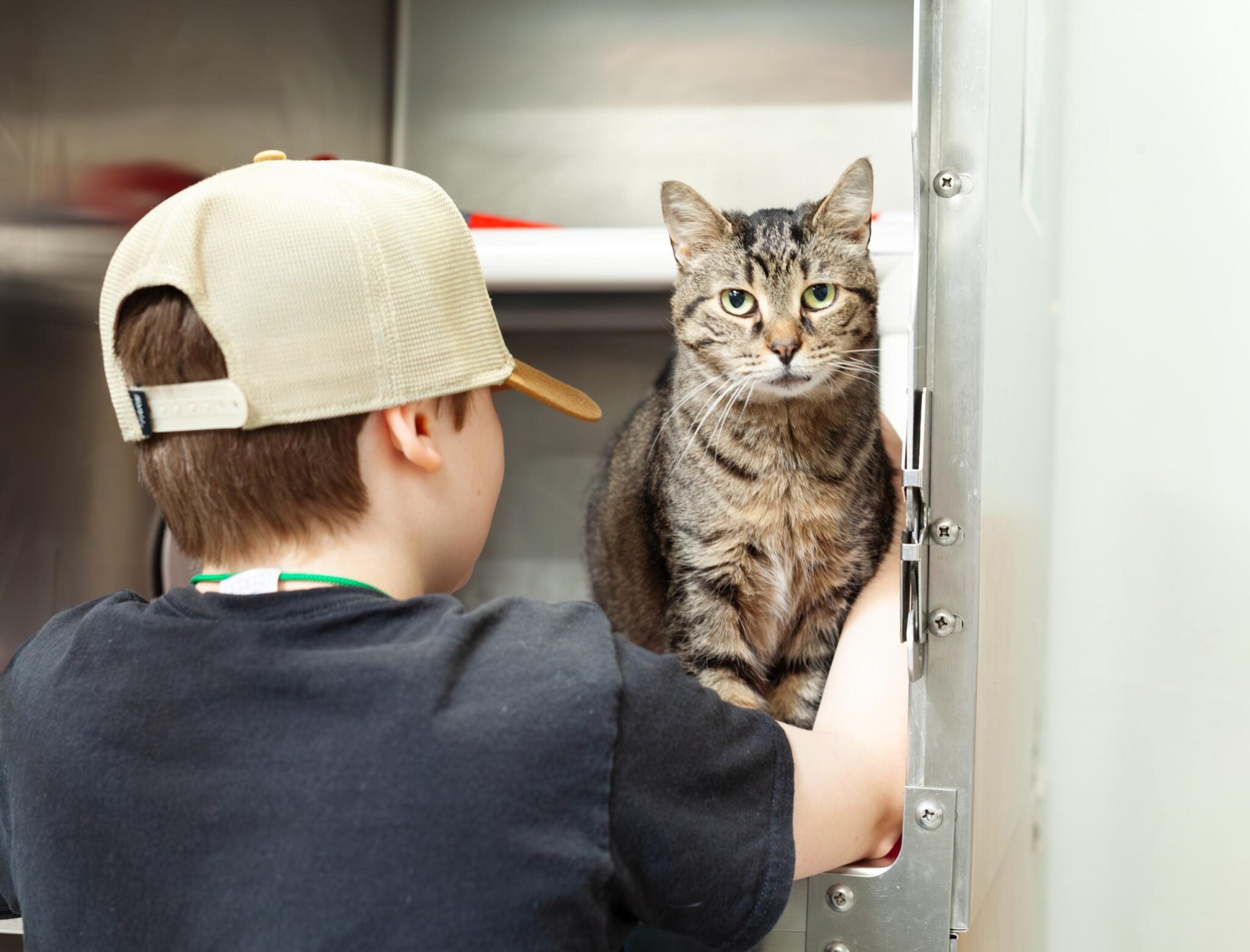 Lake Humane Society
